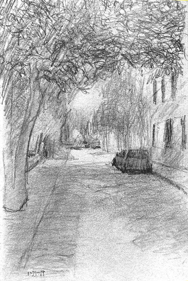 Charleston Backstreet Drawing by David Zimmerman - Fine Art America