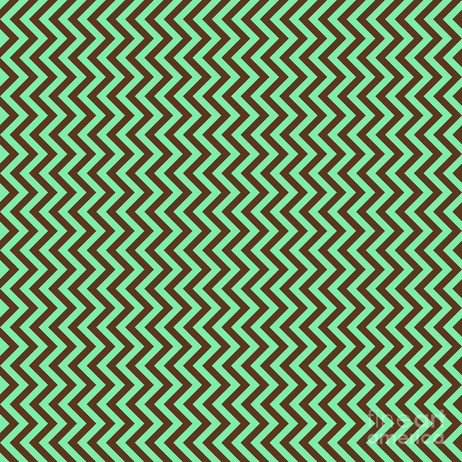 Chevron Zigzag Pattern In Mint Green And Chocolate Brown n.0084 ...