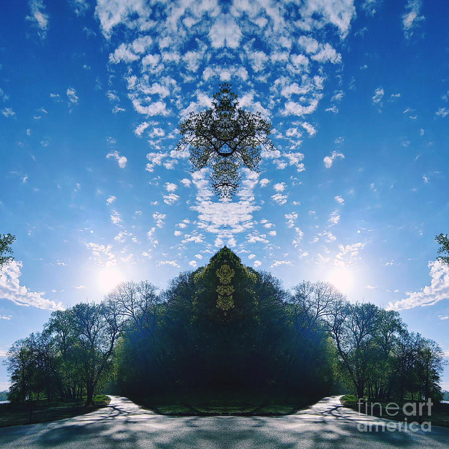 Choice Digital Art by Nathan Lester - Fine Art America