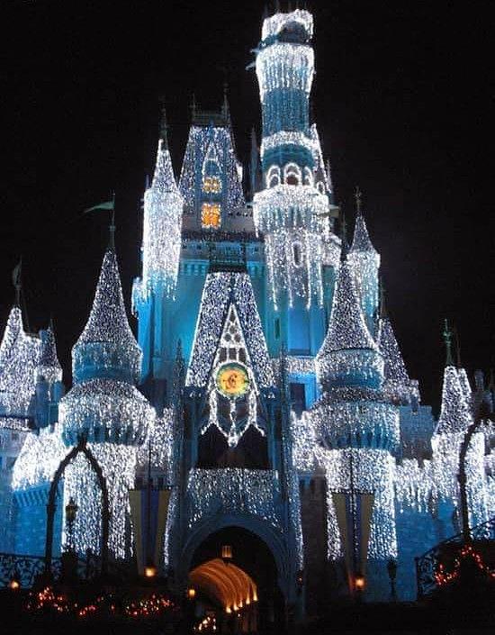 Christmas in Disneyworld Photograph by Nicole Ranson - Pixels