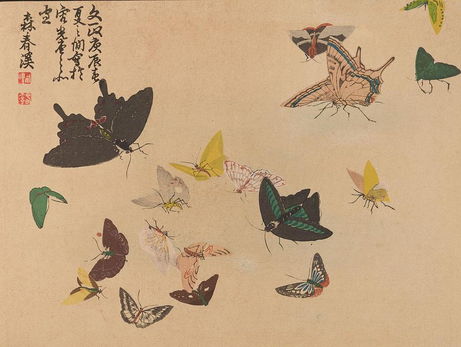 Chuka senzen Pl.12 ca 1889 Shunkei Mori Japanese Active 1800-1820 Painting by Shunkei Mori - Pixels