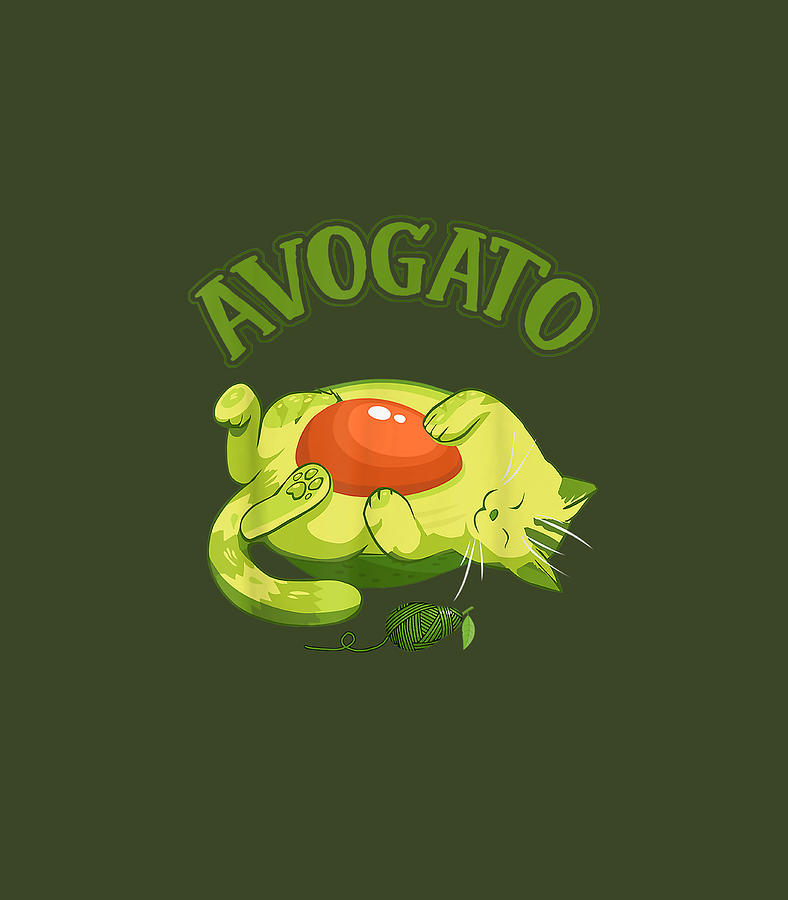 Cinco De Mayo Funny Meow Avogato Cat Avocado Mexico Digital Art By