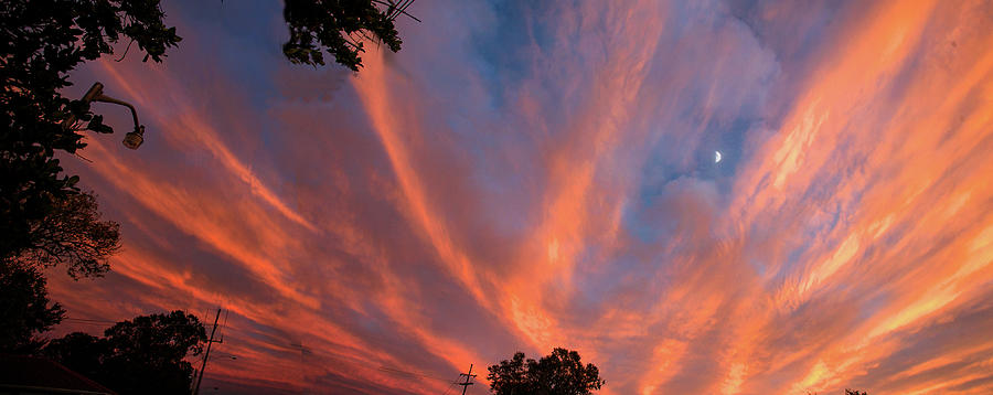 Cirrus fibratus Photograph by Alex Demyan - Fine Art America