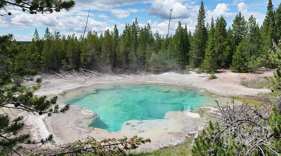 Cistern Spring Photograph by Kelly Pennington - Fine Art America
