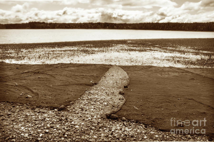 Clam Nets Photograph By Michael Ziegler Fine Art America