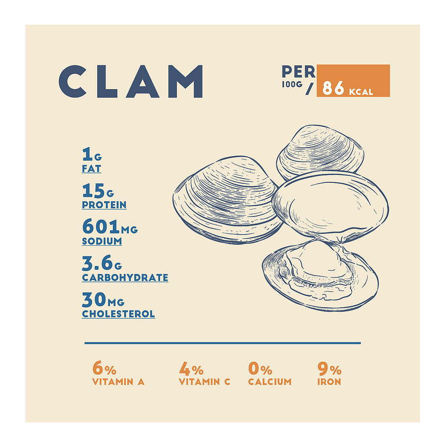 Clam Nutrition Facts Drawing by Beautify My Walls - Fine Art America