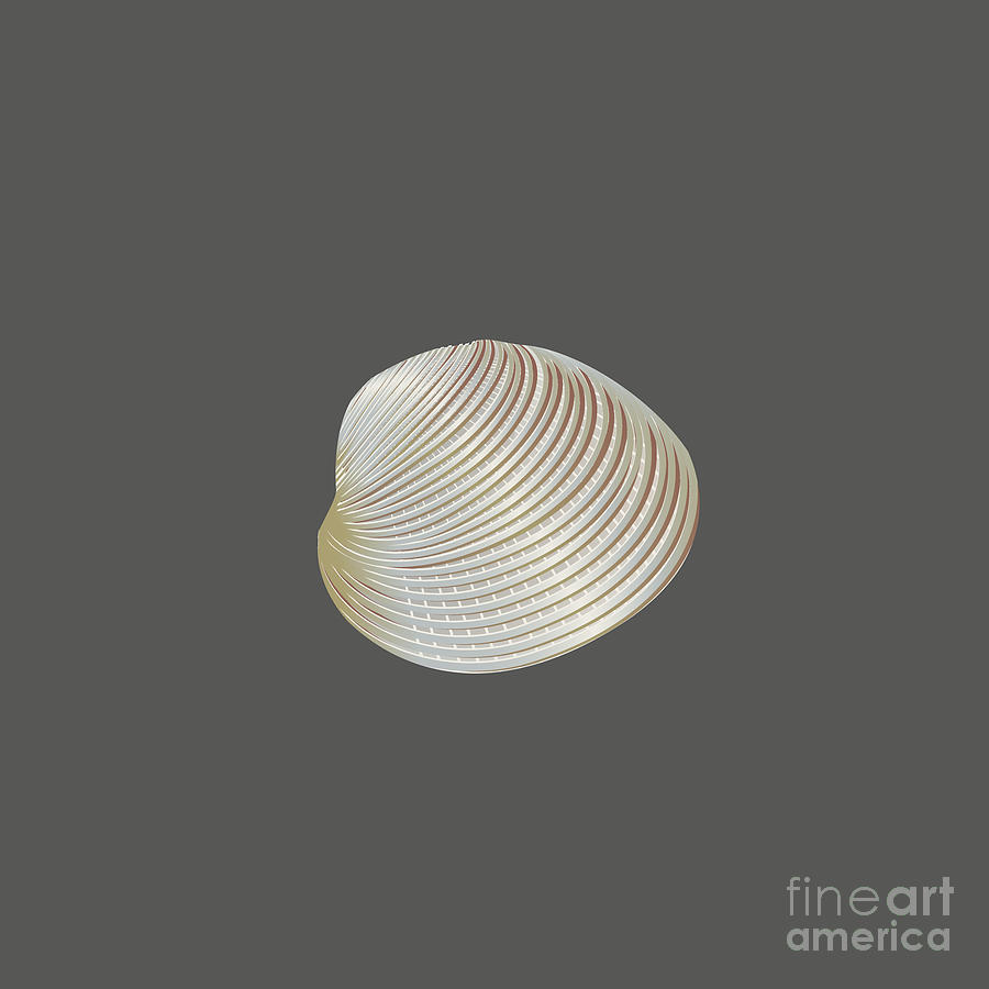Clam Shell Digital Art by Kathryn Yoder - Fine Art America