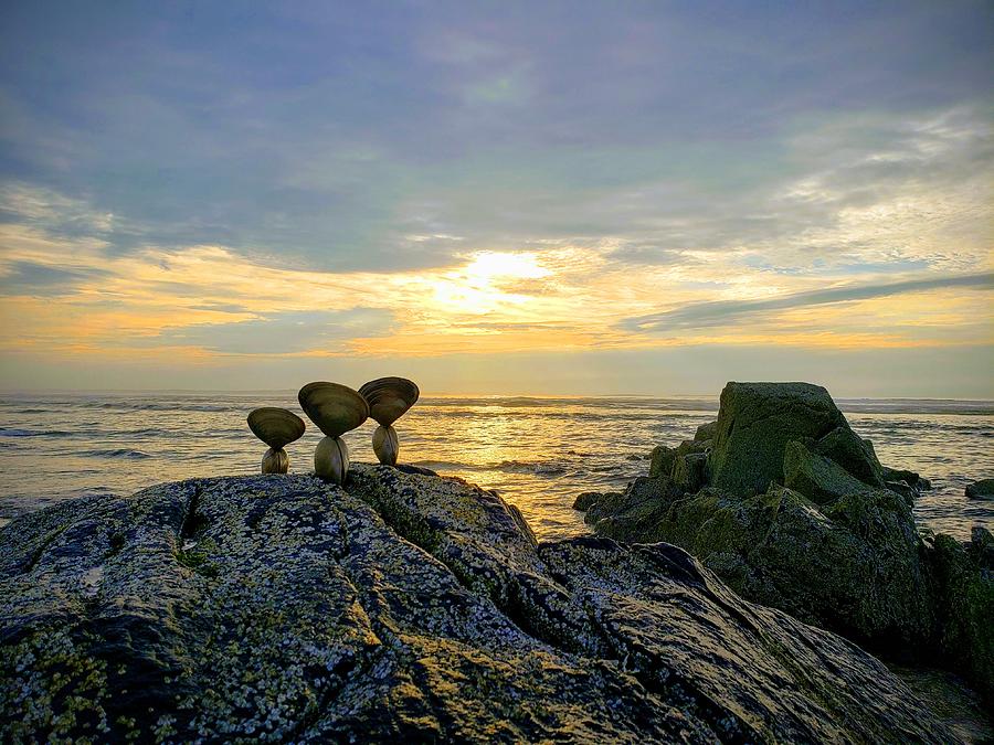 Clam stack Photograph by Scott MacDonald - Pixels