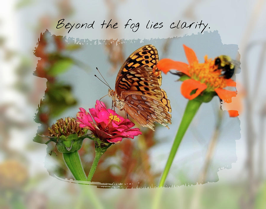 Clear Away the Fog Digital Art by Carmen Macuga - Fine Art America