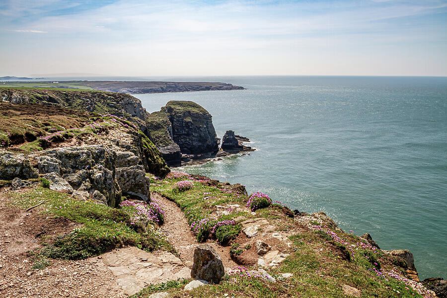 Cliffs around South Stack Photograph by Shirley Mitchell - Fine Art America