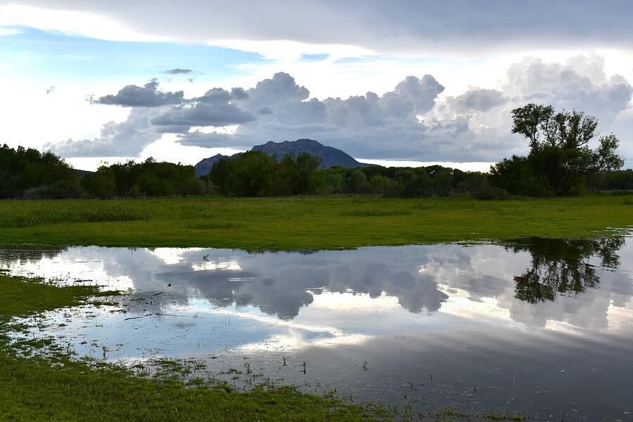 Cloud Reflection Photograph by Vicky Sweeney - Fine Art America
