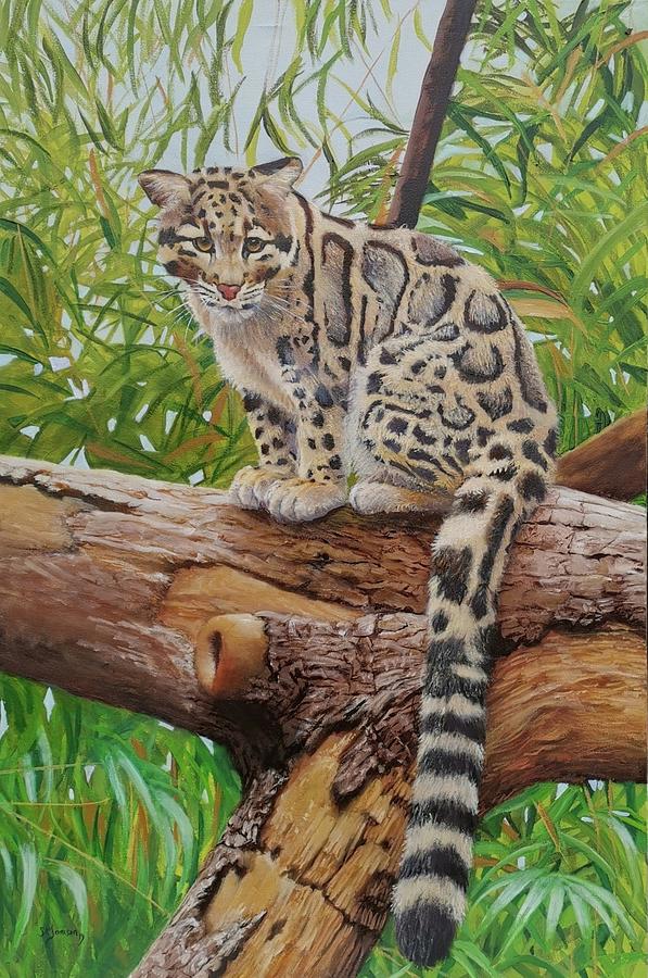 Clouded Leopard Painting by Stephen Jamison - Fine Art America