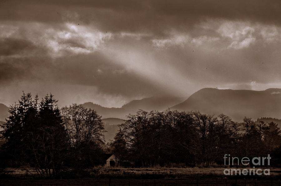 Coastal Range Sepia 2019 Photograph By Michael Ziegler Fine Art America