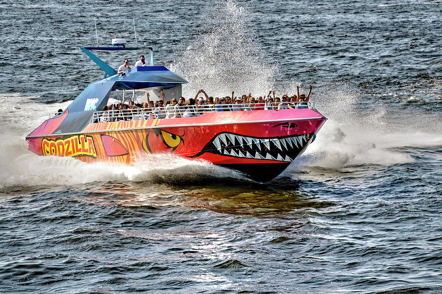 Codzilla Photograph by Joseph Bankowski