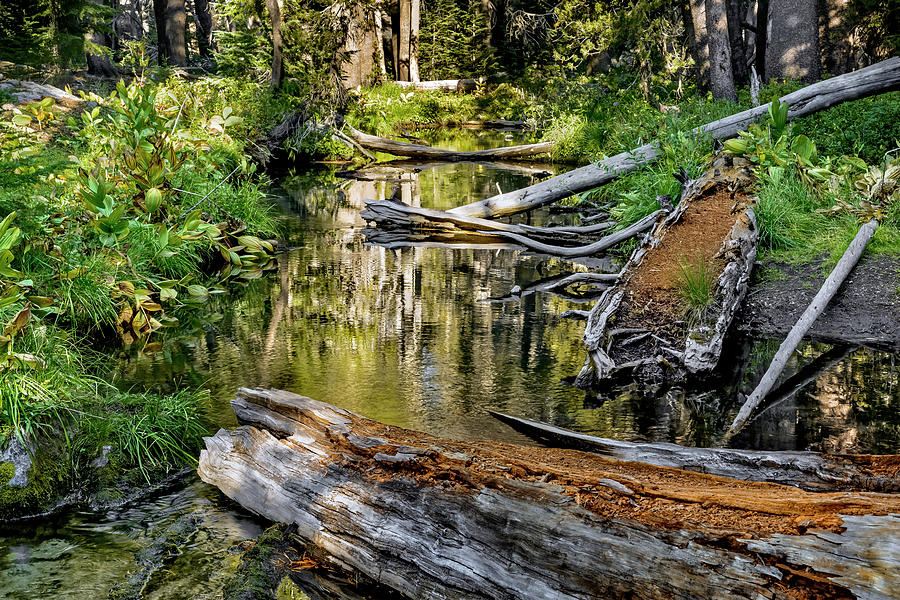 Coldwater Creek Photograph by Kelley King | Fine Art America
