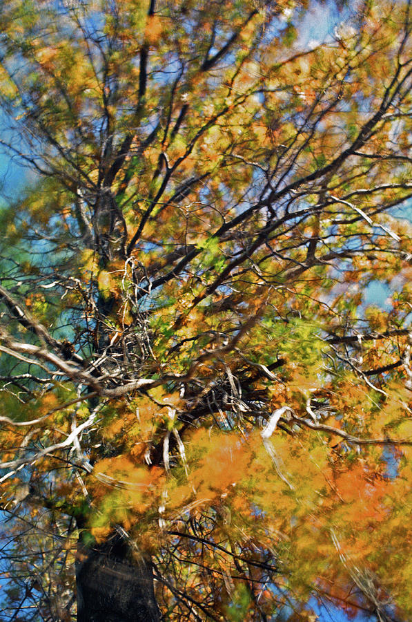 Color Wind 7 Photograph by Nate Schwartz - Fine Art America