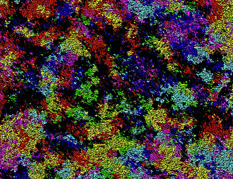 Colorful 394 by Kristalin Davis Digital Art by Kristalin Davis - Fine ...