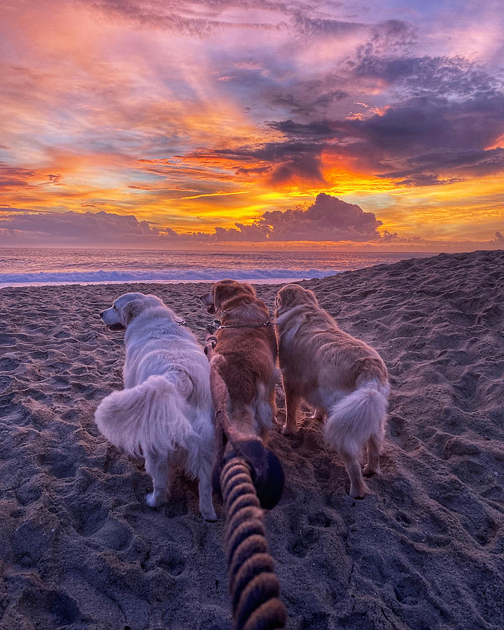 Colorful Beach Storming Photograph by Jim Feaster - Fine Art America