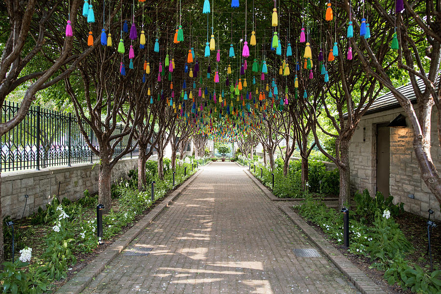 Colorful Path Photograph by Whitney Pulen - Fine Art America