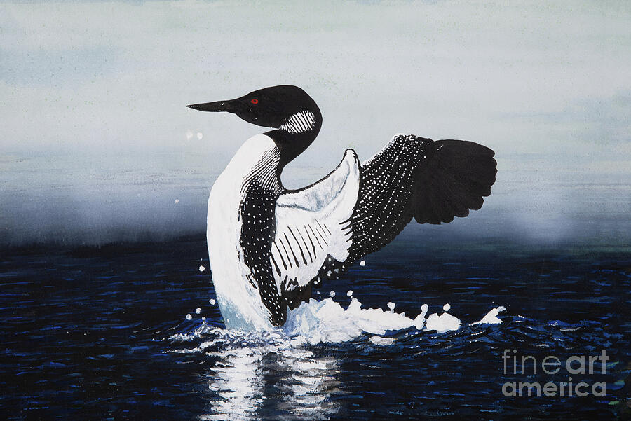 Common Loon Painting by Stephen Emms - Fine Art America