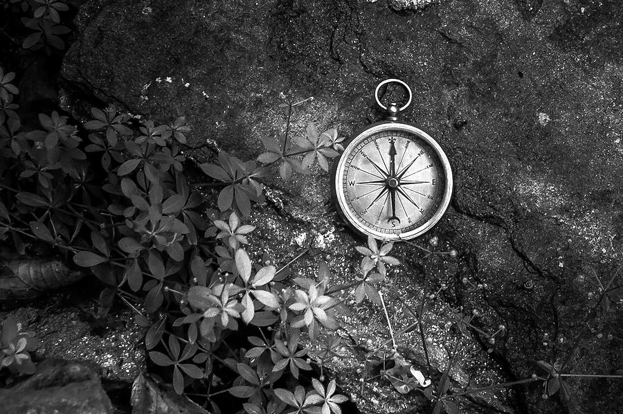 Compass 1 BW Photograph by David Cronin - Pixels