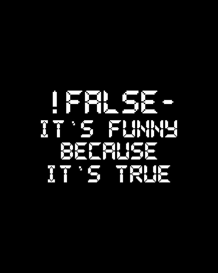 Computer Programming FALSE Funny Because True Programmers Drawing by ...