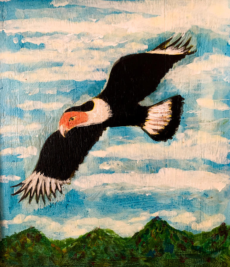 Costa Rica sea eagle Painting by Peter Wright - Fine Art America