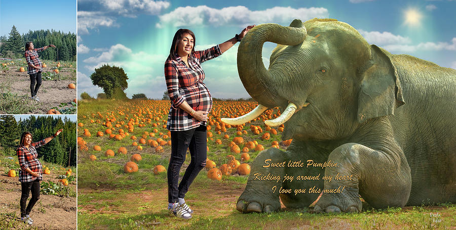 Consignment Example 1 Photograph by Pasha Adair - Fine Art America