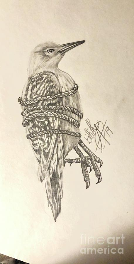 Contained Contentment Drawing by Lillith White - Fine Art America