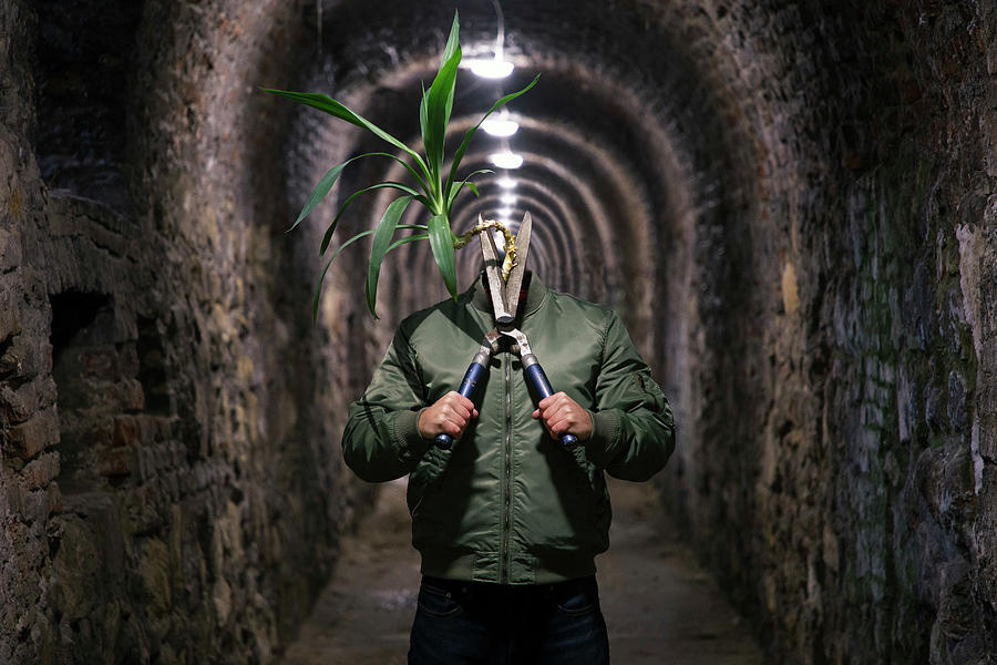 Control Photograph by Daniel Ripka - Fine Art America