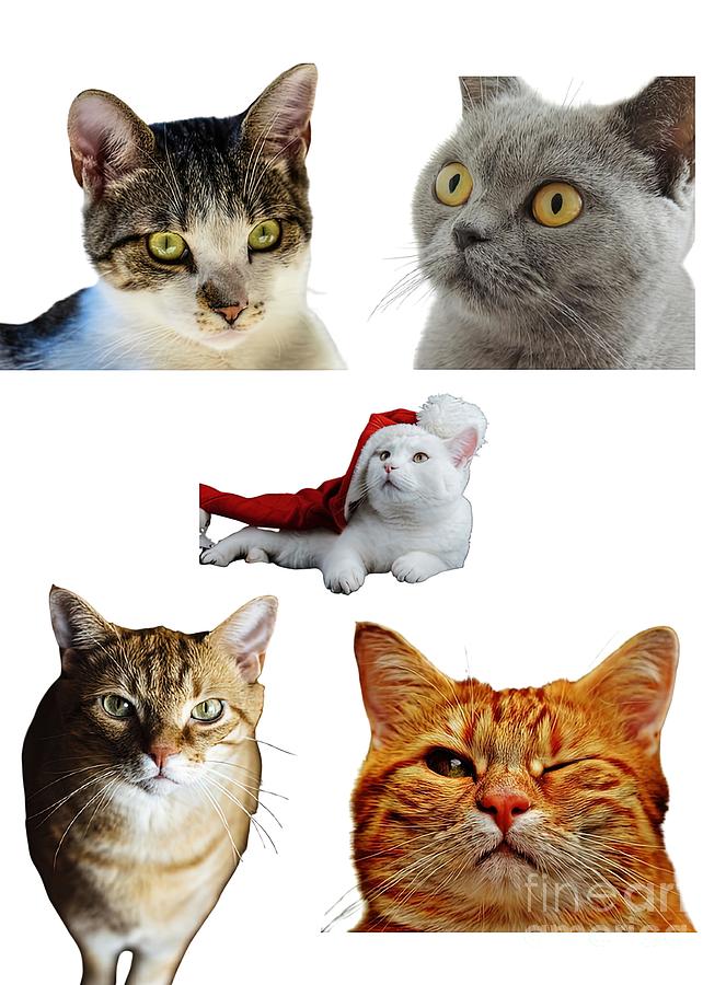 Cool Kitties Sticker Pack Painting by Lee Jasmine - Fine Art America