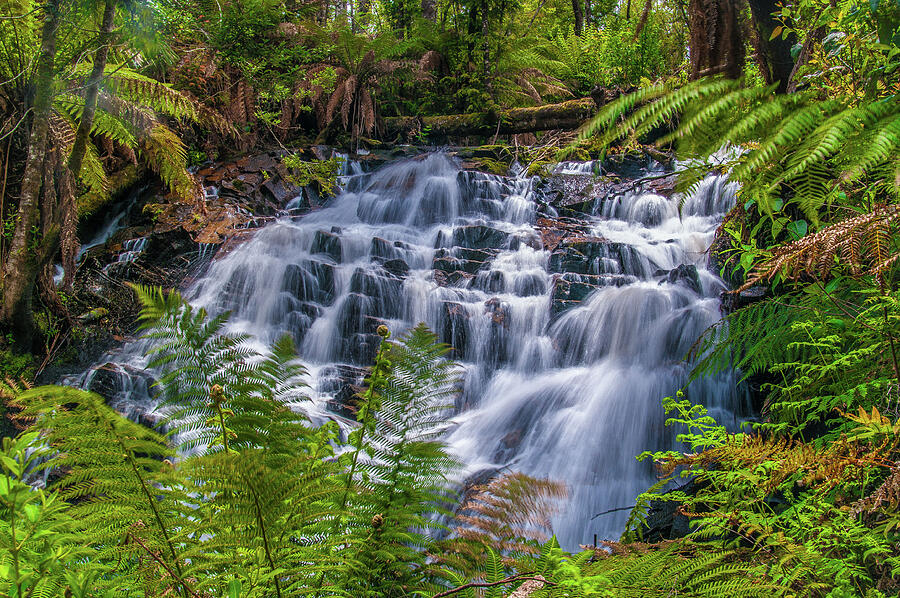 Cora Lynn Falls Photograph by Bette Devine - Fine Art America