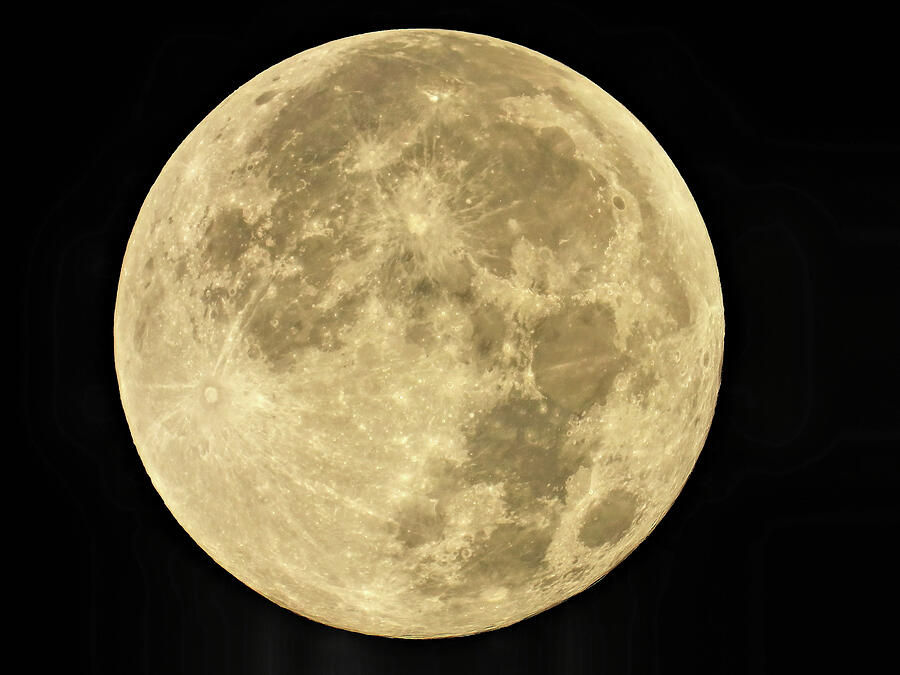 Corn Moon Photograph by Rick Davis - Fine Art America
