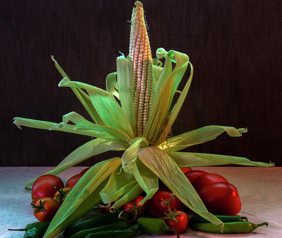 Corn Star Photograph by Armando De la Fuente - Fine Art America