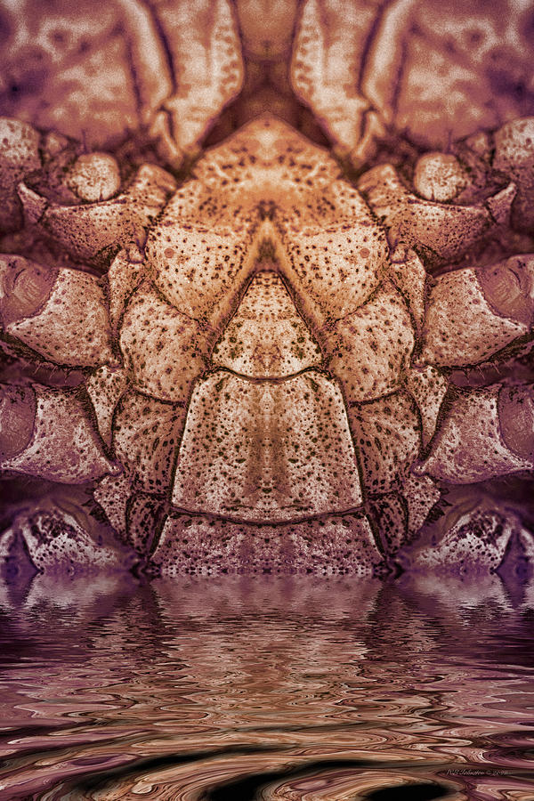 Crabbed Digital Art by WB Johnston - Fine Art America