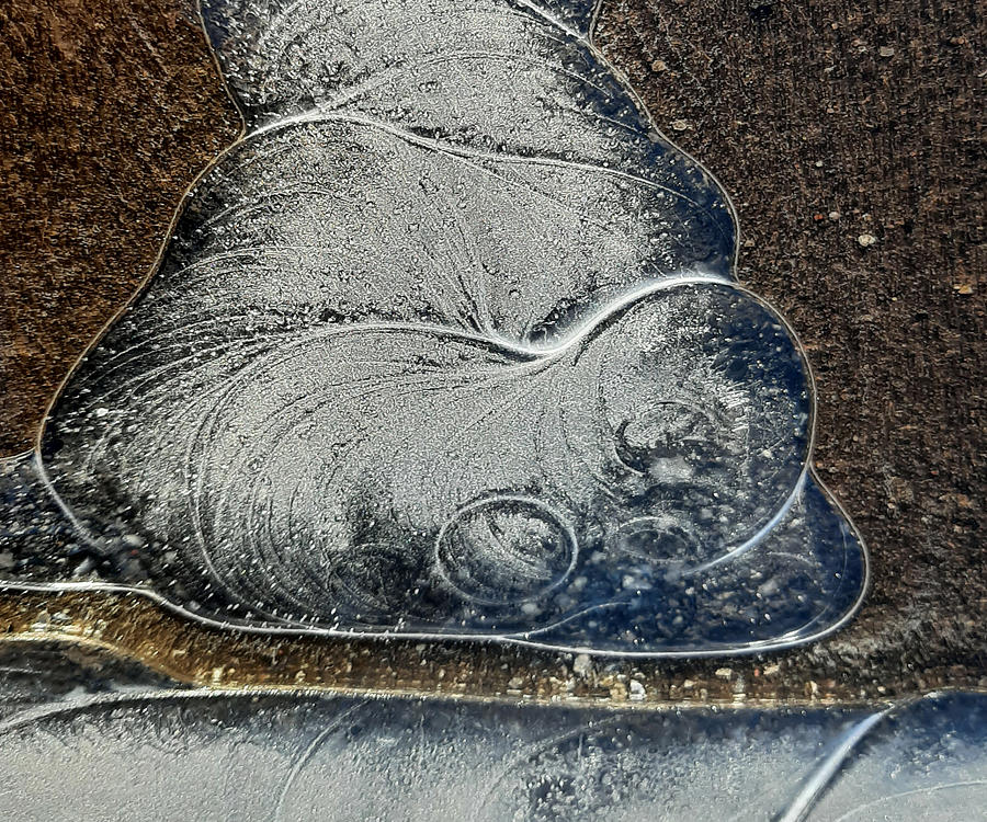 Crazy Ice Pattern in Asphalt Photograph by Brad Havens - Fine Art America