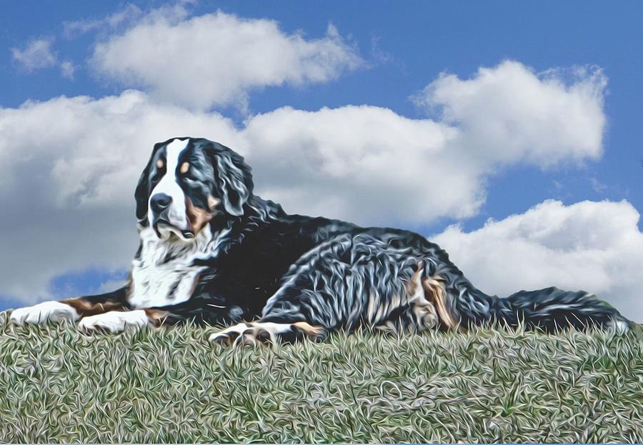 Cujo Digital Art by Sarah Hanley - Fine Art America