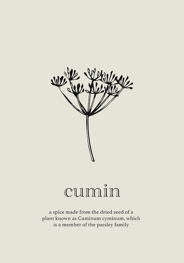 Cumin Spice Vintage Minimalistic Kitchen Poster Mixed Media by Design Turnpike - Fine Art America