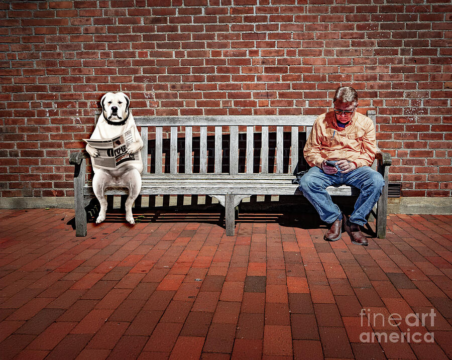 Curmudgeons Photograph by Paul Wear - Fine Art America