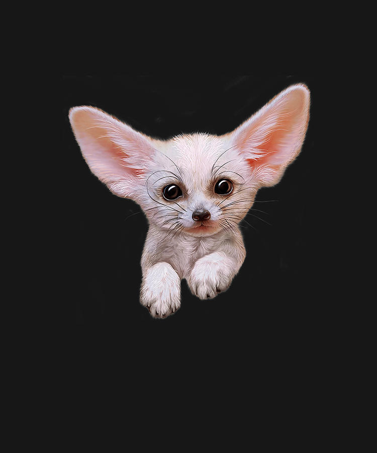 Cute Fennec Fox Cub Drawing By Dhbubble Fine Art America