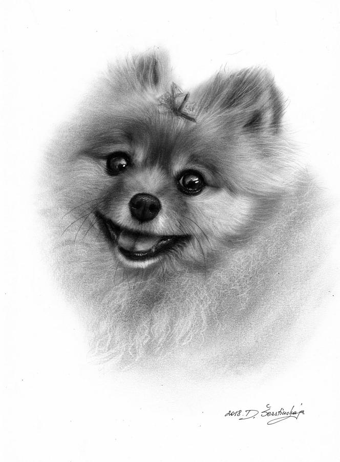 Cute Pomeranian painting Painting by Danguole Serstinskaja - Fine Art ... Cute Pomeranian painting Painting by Danguole Serstinskaja - Fine Art ...