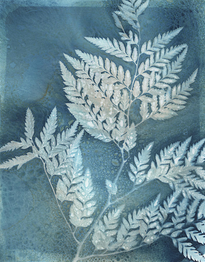 Cyanotype 8 Digital Art by Denise Love - Fine Art America