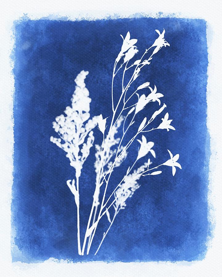 Cyanotype Flowers 1 Mixed Media by Masha Batkova - Fine Art America