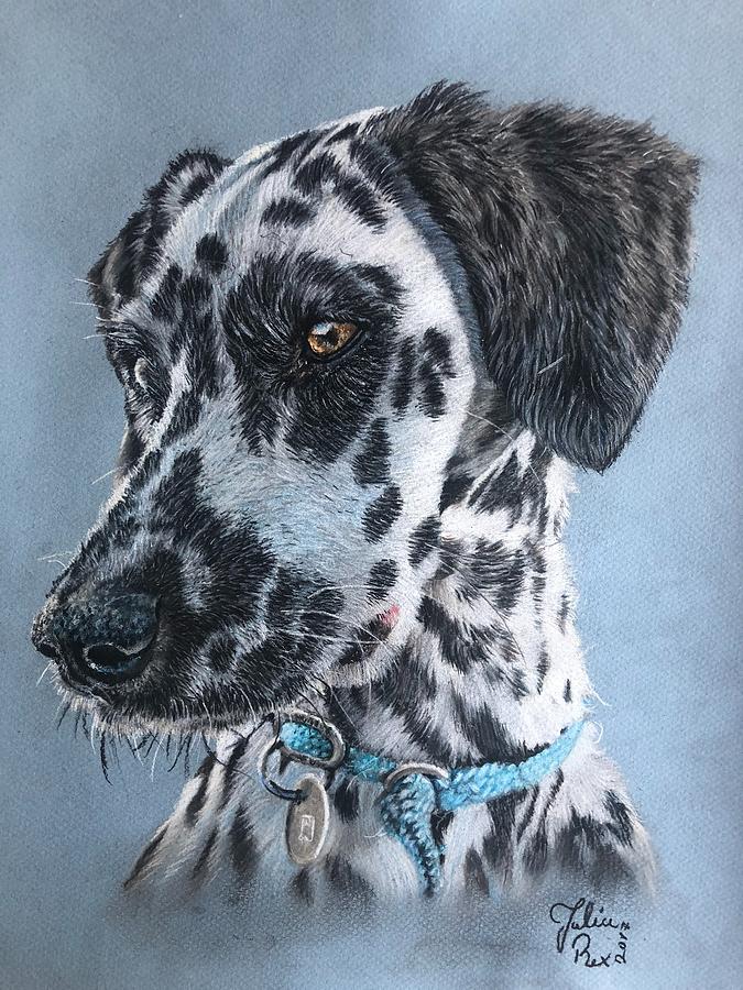 Dalmatian Pastel by Julia Rosales - Fine Art America