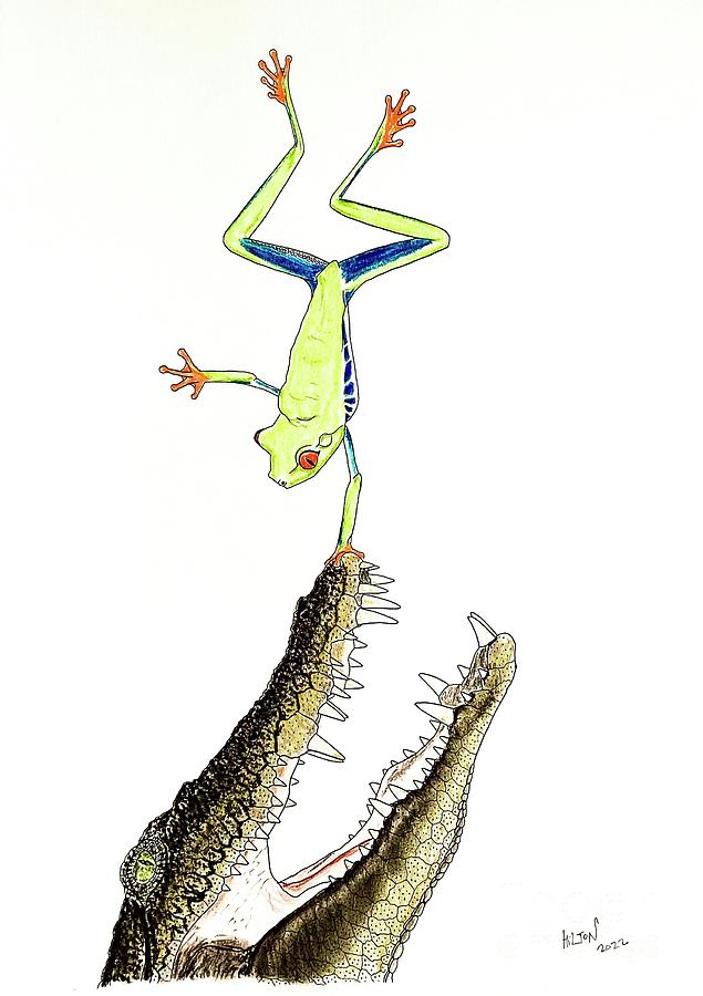 Red Eyed Tree Frog- Dare Devil Mixed Media by Graham Wallwork | Fine ...