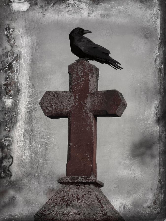 Dark Gothic Bird Photograph by Gothicrow Images - Fine Art America