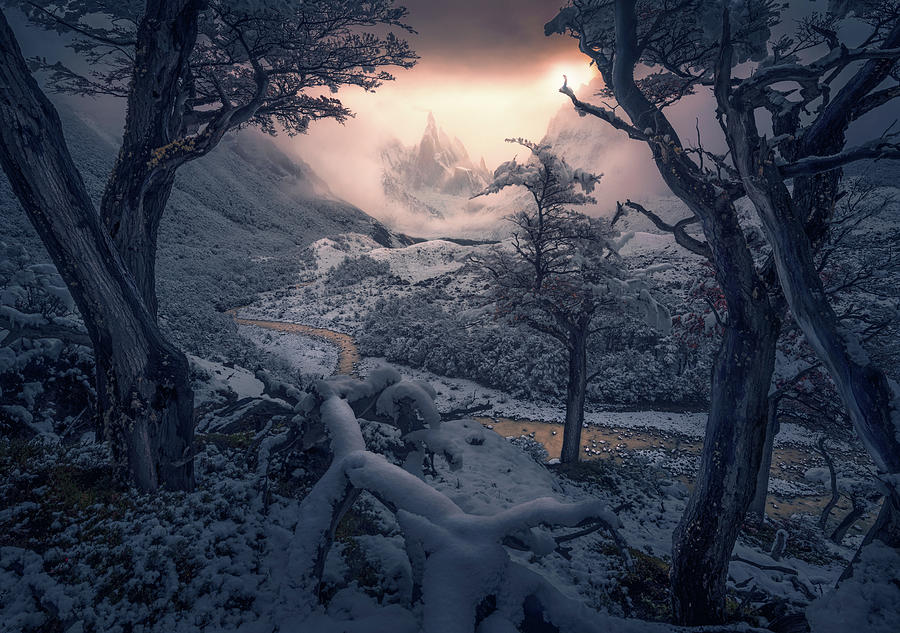 Dark Light Photograph by Max Rive - Fine Art America