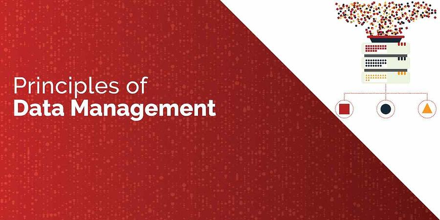 Data Management Principles Digital Art by Data Management Principles ...