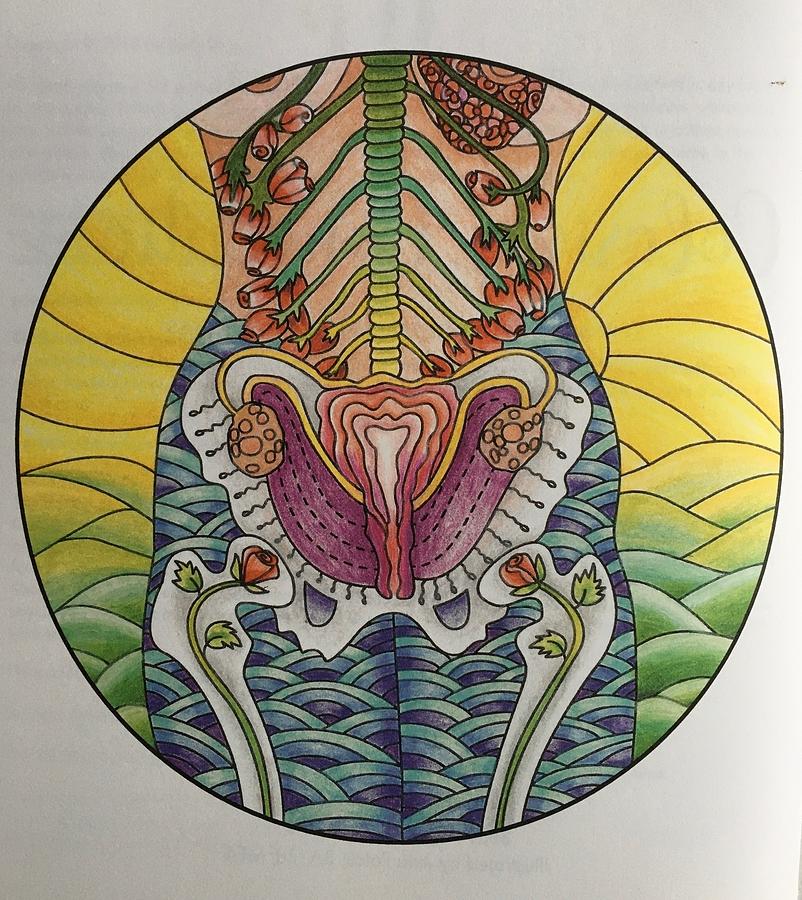 Day 7 Drawing by Arla Patch | Fine Art America