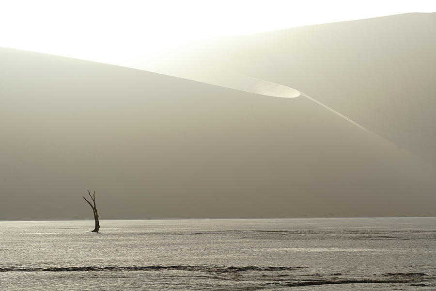 Dead Vlei Namibia Photograph by Adele Buttolph - Fine Art America